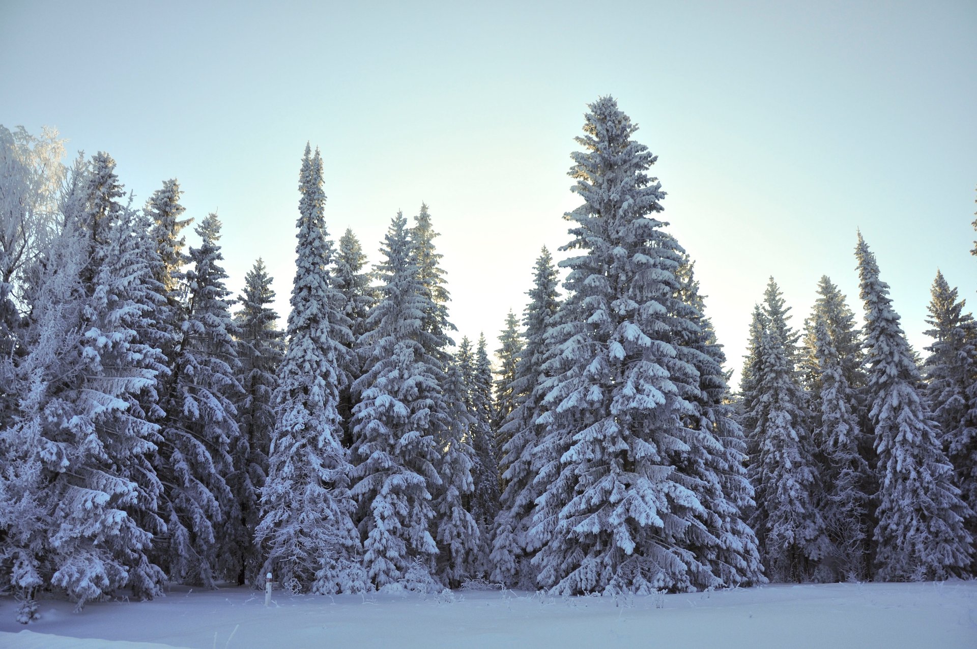 Biologická zima už je tu! | Jíme Jinak