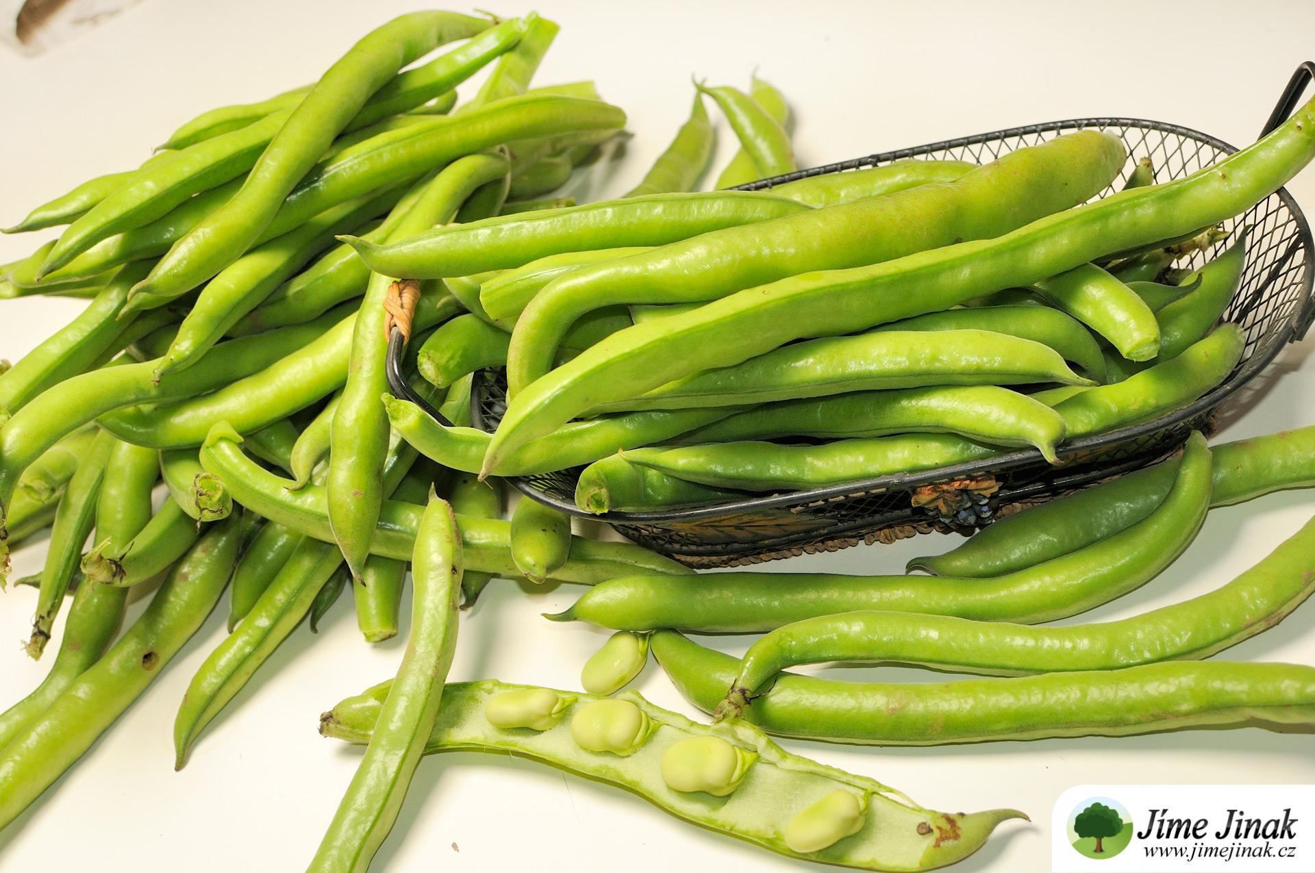 Bob zahradní – zdravá jarní zelenina | Jíme Jinak